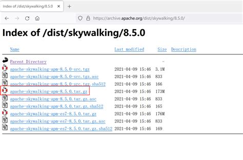 Java微服务项目整合skywalking链路追踪框架java 项目 使用skywalking Csdn博客