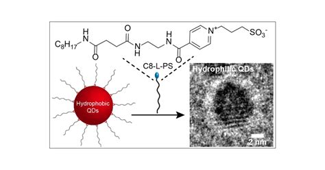 Quantum Dots With A Compact Amphiphilic Zwitterionic Coating Acs Applied Materials And Interfaces