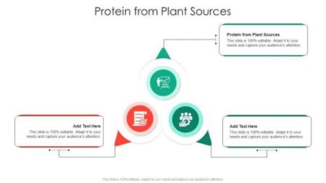 Protein Sources Powerpoint Presentation And Slides Ppt Example Slideteam