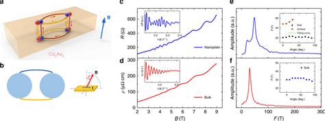 Formation Of Weyl Orbits And New 2d Fermi Surface In Cd3as2 Nanoplates Download Scientific