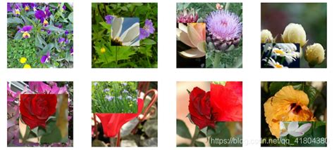 数据增强方法 Cutmixcutmix代码tensorflow Csdn博客