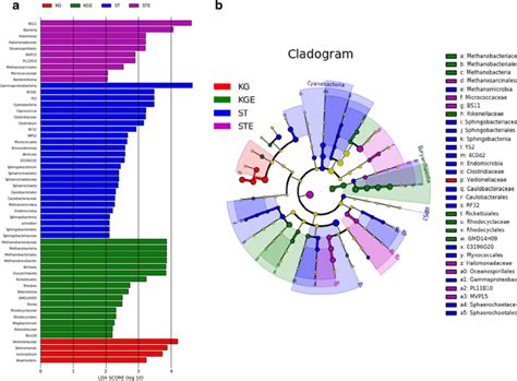 Lefse Identified The Most Differentially Abundant Taxa Among The Four