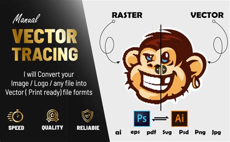 Convert Files Vector Tracing Redraw Trace Logo Or Image In Vector Ai By Miss Anum Fiverr