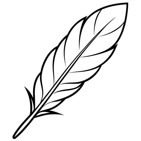 Feather Drawing Outline Vector Art Icons And Graphics For Free Download