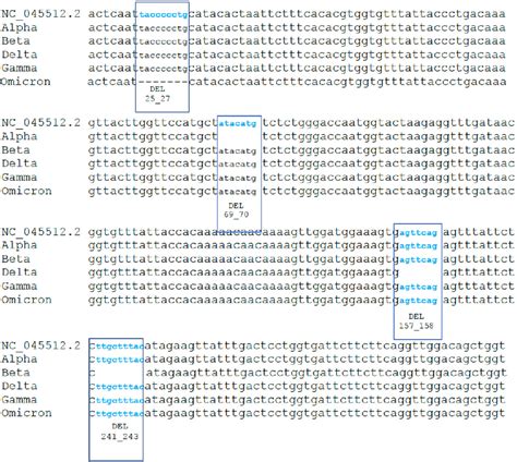 Figure 1 From Rapid System To Detect Variants Of Sars Cov 2 In