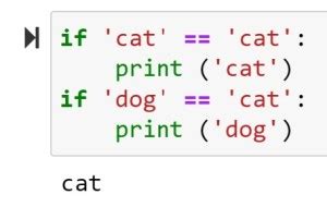 Python Conditional Logic Analytics4All