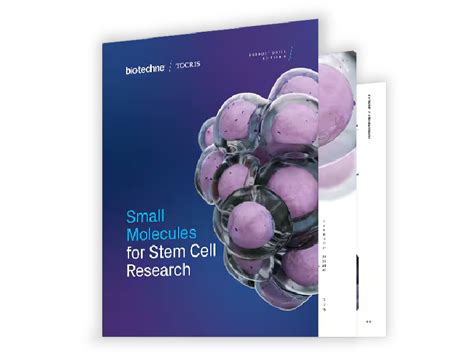 Stem Cell Products Randd Systems