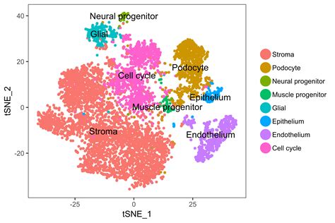 Tsne Biocode
