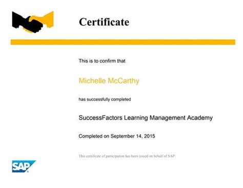 Sap Fico Training Certificate Pdf