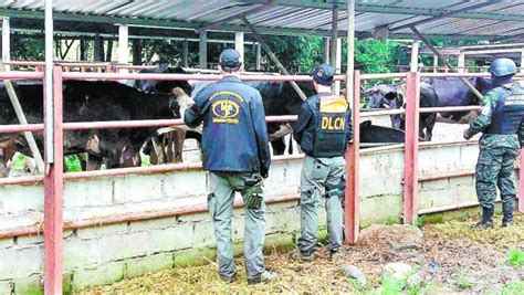 Cae Hija De Digna Valle Valle En Otro Golpe A Cartel Del Narcotráfico