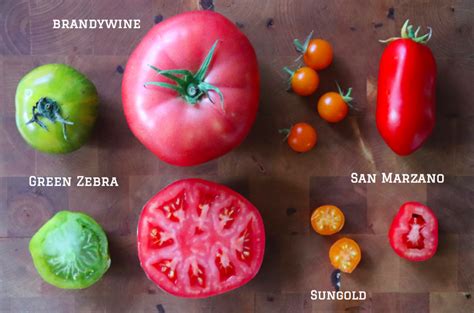 Are San Marzano Tomatoes Actually Worth It — Ethan