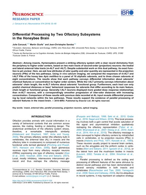 Pdf Differential Processing By Two Olfactory Subsystems In The