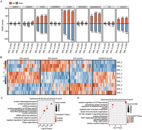 Alternative Splicing Analysis Of E45 E55 And E65 Samples A