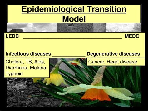 Ppt Epidemiological Transition Models Population Control Powerpoint Map