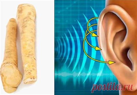Самое мощное средство для улучшения памяти и работы мозга Как же част