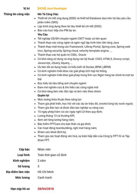 Tuyển Dụng Java Developer Khoa CÔng NghỆ ThÔng Tin