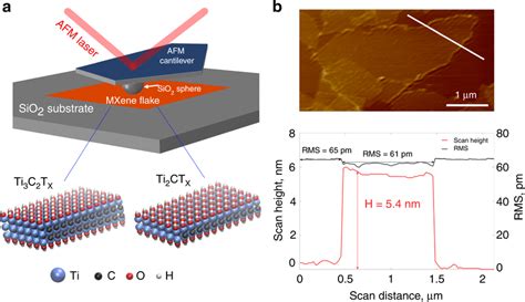 A Schematic Representation Of Afm Indentation Experiment B Afm Image