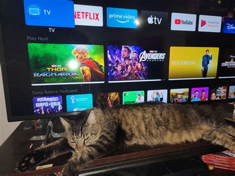 10000 best sensores images on pholder spaceporn arduino and therewasanattempt