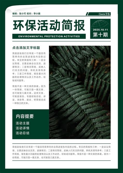 简报模板 简报设计模板 Canva可画