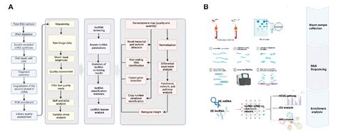 figure 1 from rna seq comprehensive analysis reveals the long noncoding