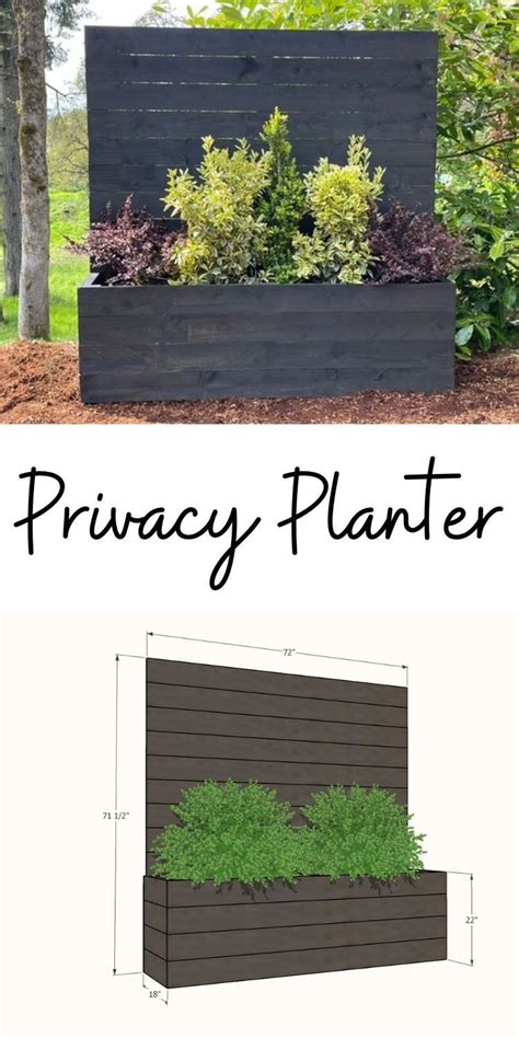 Pin On Yard