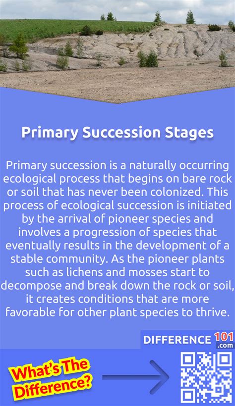 Primary Succession Vs Secondary Succession Stages 6 Key Differences