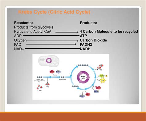 Energy The Ability To Perform Work Ppt Download