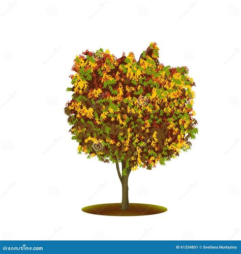 Ficus Tree Silhouette With Leaves Vector Illustration Cartoondealer