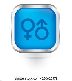 Vector Sex Symbol Glossy Button Stock Vector Royalty Free 230623579 Shutterstock