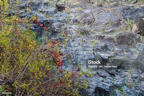산 근처에 있는 큰 바위나 바위를 클로즈업합니다 큰 여러 가지 빛깔의 화강암 햇빛에 빛나는 주황색 입자가 있는 큰 회색 석조 구조물의 세부 사항 0명에 대한 스톡 사진 및