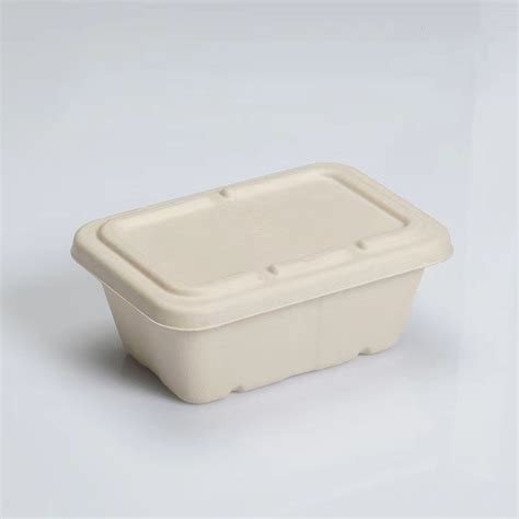 Disposable Baggasse Paper Box Take Away Container With Custom Printed