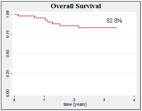 Overall Survival In Dlbcl Patients Treated With R Chop At The