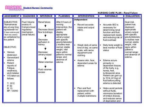 20 Diabetic Care Plan Template Simple Template Design