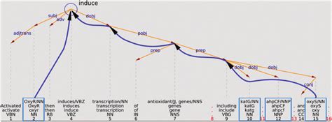 Example Of Using The Syntactic Structure To Validate A Potential Download Scientific Diagram