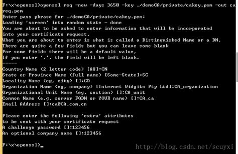 openssl 自建ca及签发证书 openssl的ca文件在哪 csdn博客