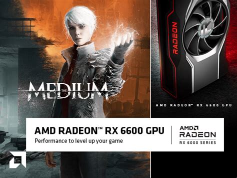 Asrock Radeon Rx Gb Gddr Pci Express Video Card Rx Cld G Gpus Video Graphics Cards