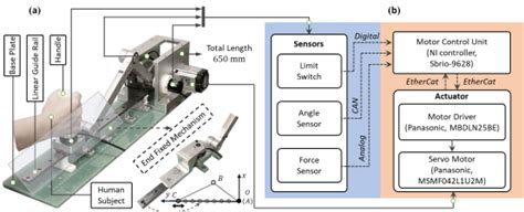 Research Progress In An Optimized Portable Cable Driven Haptic Robot Enables Free Motion And