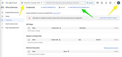 Google Gemini The Caller Does Not Have Permission When Creating API Key Stack Overflow