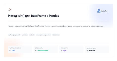 Метод Isin для Dataframe в Pandas Labex