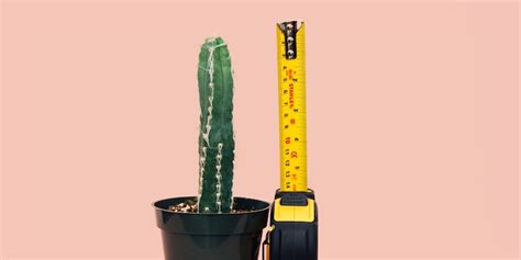 How To Perform Assertiveness Skills Training 6 Exercises