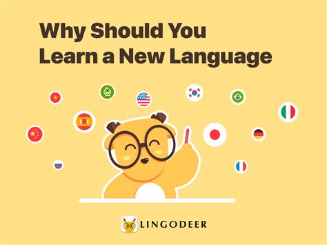 5 Great Reasons To Start Learning A New Language In 2023 LingoDeer