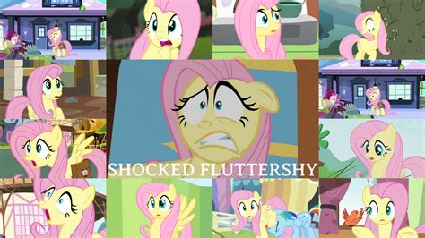 Request Shocked Fluttershy By Quoterific On Deviantart