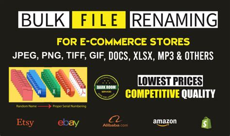 Bulk Rename Images Pdf Document Excel Mp Mp And Other File Types By Jawadtahir Fiverr
