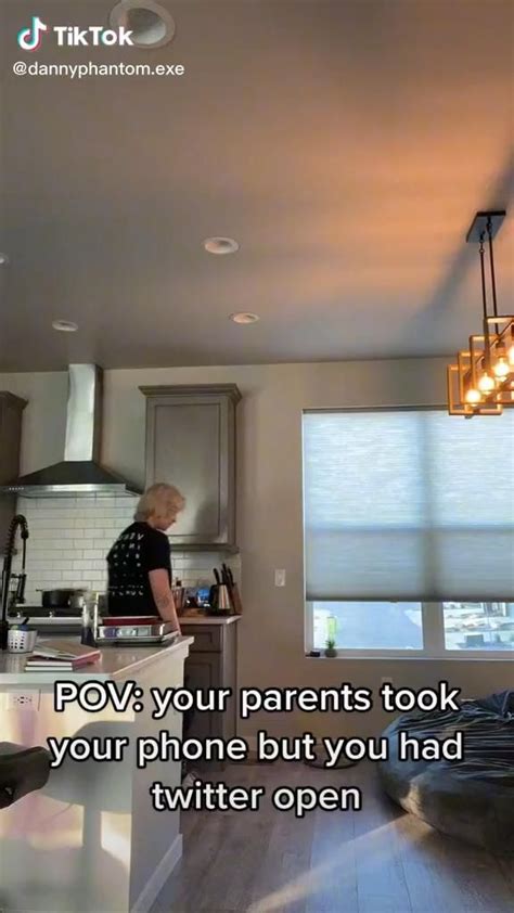 Danny Phantom Danny Phantom Future Husband Human