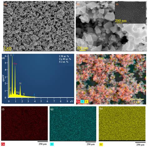 Chemosensors Special Issue Functional Nanomaterial Based Gas