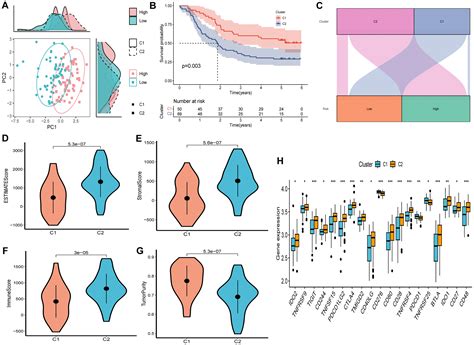A SARS CoV Related Signature That Explores The Tumor Microenvironment And Predicts