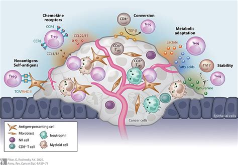 Check Permission For Figure A Issue Omnideconv Omnideconv GitHub