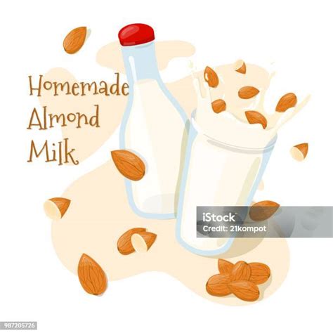 수 제 아몬드 우유 병에 스플래시 유리 벡터 아이콘에서 전체 아몬드와 함께 흰색 배경에 고립 된 만화 삽화를 먹고 건강 갈색에 대한 스톡 벡터 아트 및 기타 이미지 Istock