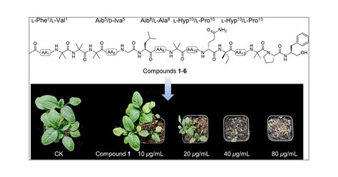 Isolation Characterization And Bioherbicidal Potential Of The 16
