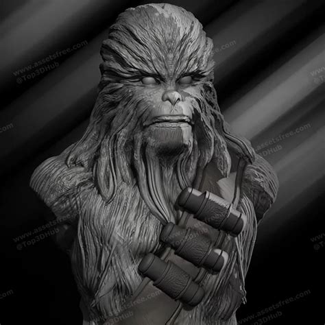 Chewbacca 3d Print Model